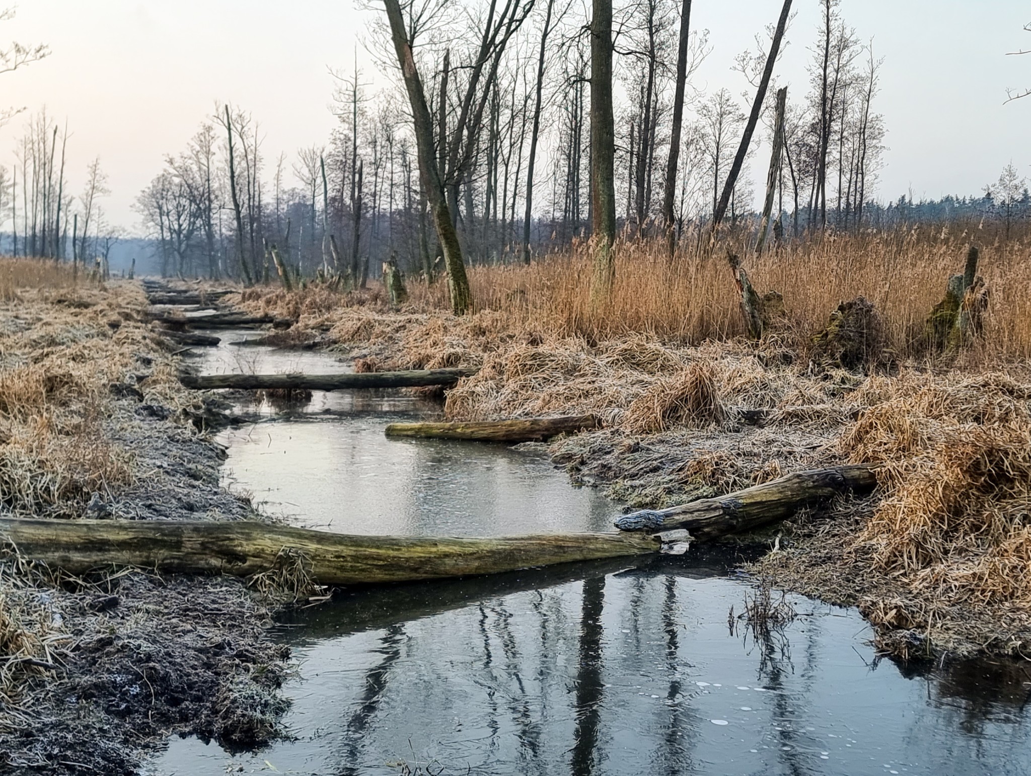 Prace prowadzone na terenie użytku ekologicznego Rzeka Mała | Oficjalna ...